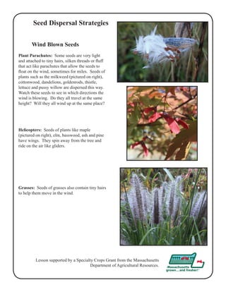 Grade 3 School Garden Lesson Plan - Seeds Lesson; Seed Dispersal ...