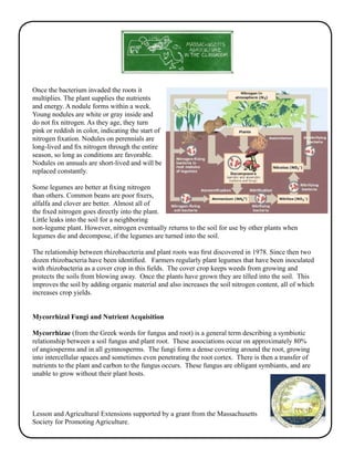 Grade 3 School Garden Lesson Plan - Soil Lesson; Plant Root Symbiosis ...