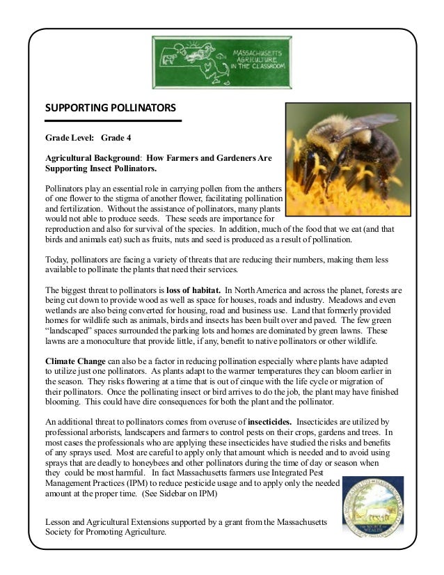 Grade 2 School Garden Lesson Plan Pollination Lesson