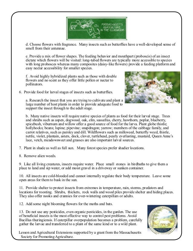 Grade 2 School Garden Lesson Plan Pollination Lesson