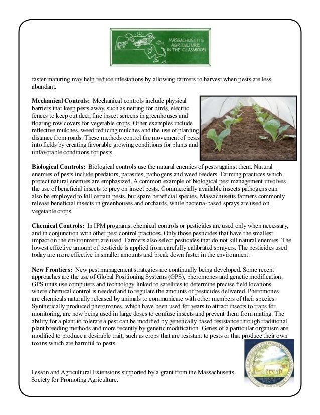 Grade 2 School Garden Lesson Plan Pollination Lesson