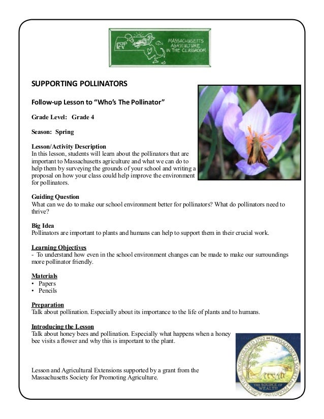 Grade 2 School Garden Lesson Plan Pollination Lesson