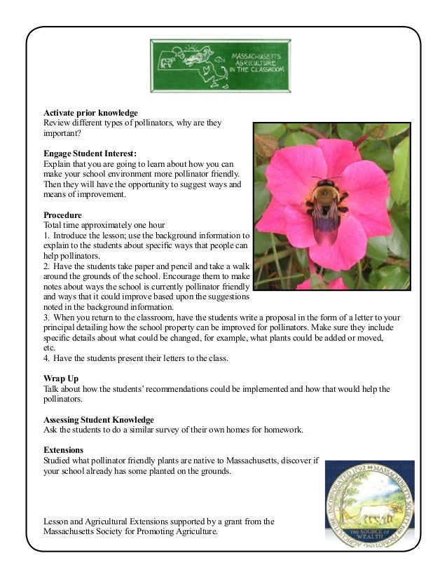 Grade 2 School Garden Lesson Plan Pollination Lesson
