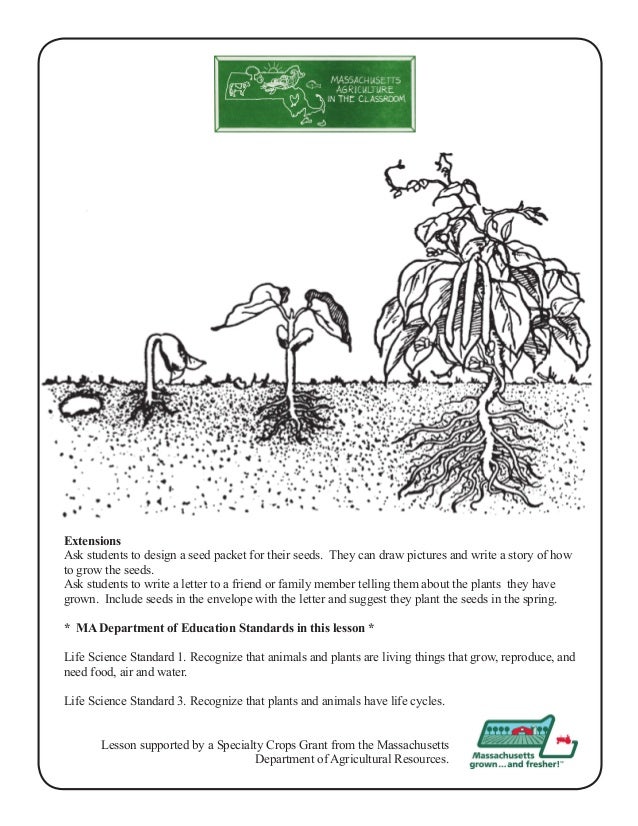 Planting Seeds Lesson Plan Ks2 - all about hobby