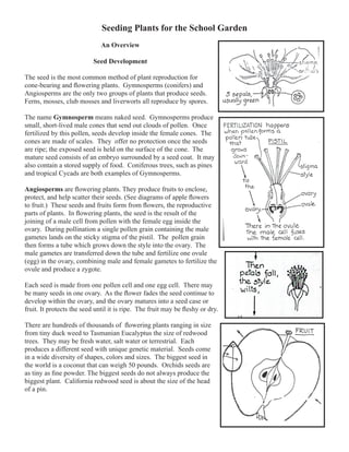Seeding Plants for the School Garden | PDF