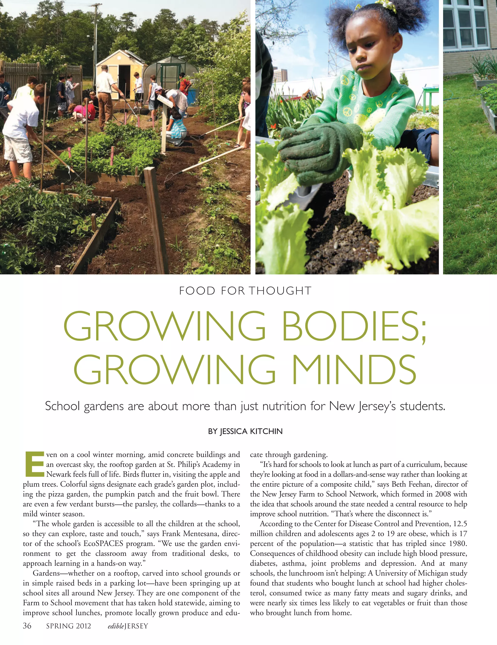 Growing Bodies; Growing Minds: School Gardens Are about More Than Just ...