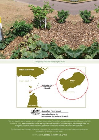 Improving Nutrition with the Thursday Island Donut Gardens | PDF