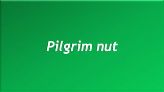 Ship Propulsion system | PDF