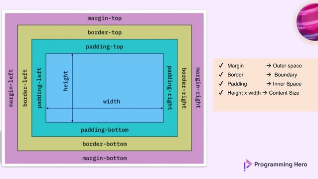 How to Create flex box and design box model for a particular section | PPT
