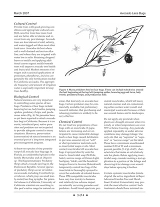 Avocado Lace Bug Integrated Pest Management | PDF | Gardening | Home ...