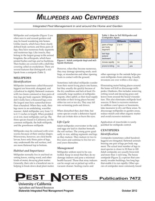 Millipedes and Centipedes Integrated Pest Management | PDF