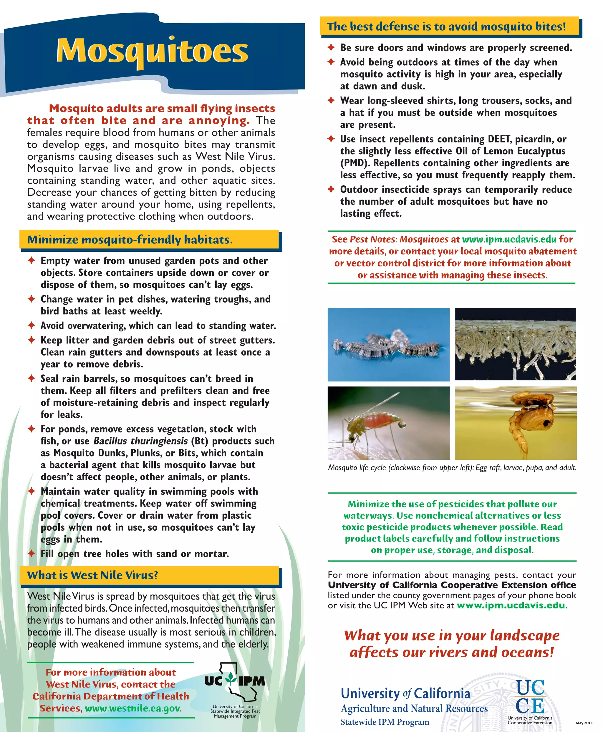 Mosquitoes Quick Tips Natural Pest Control | PDF