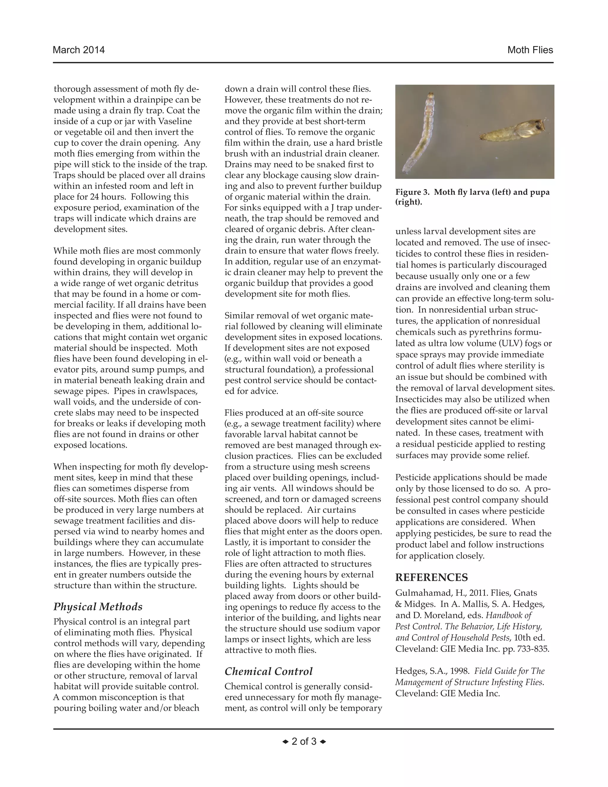 Moth or Drain Flies Integrated Pest Management | PDF