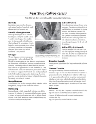 Pear Slug Integrated Pest Management | PDF