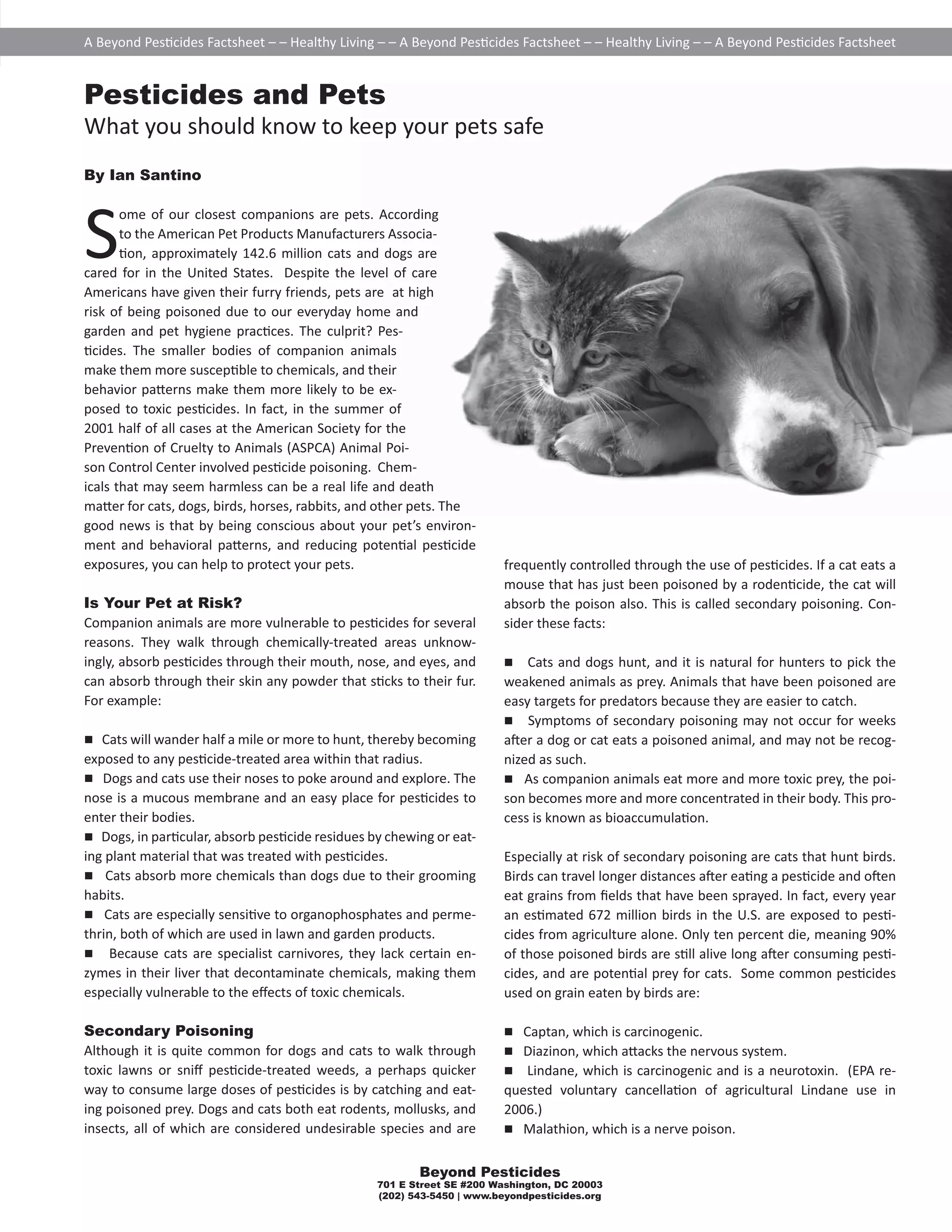 Pesticides and Pets | PDF