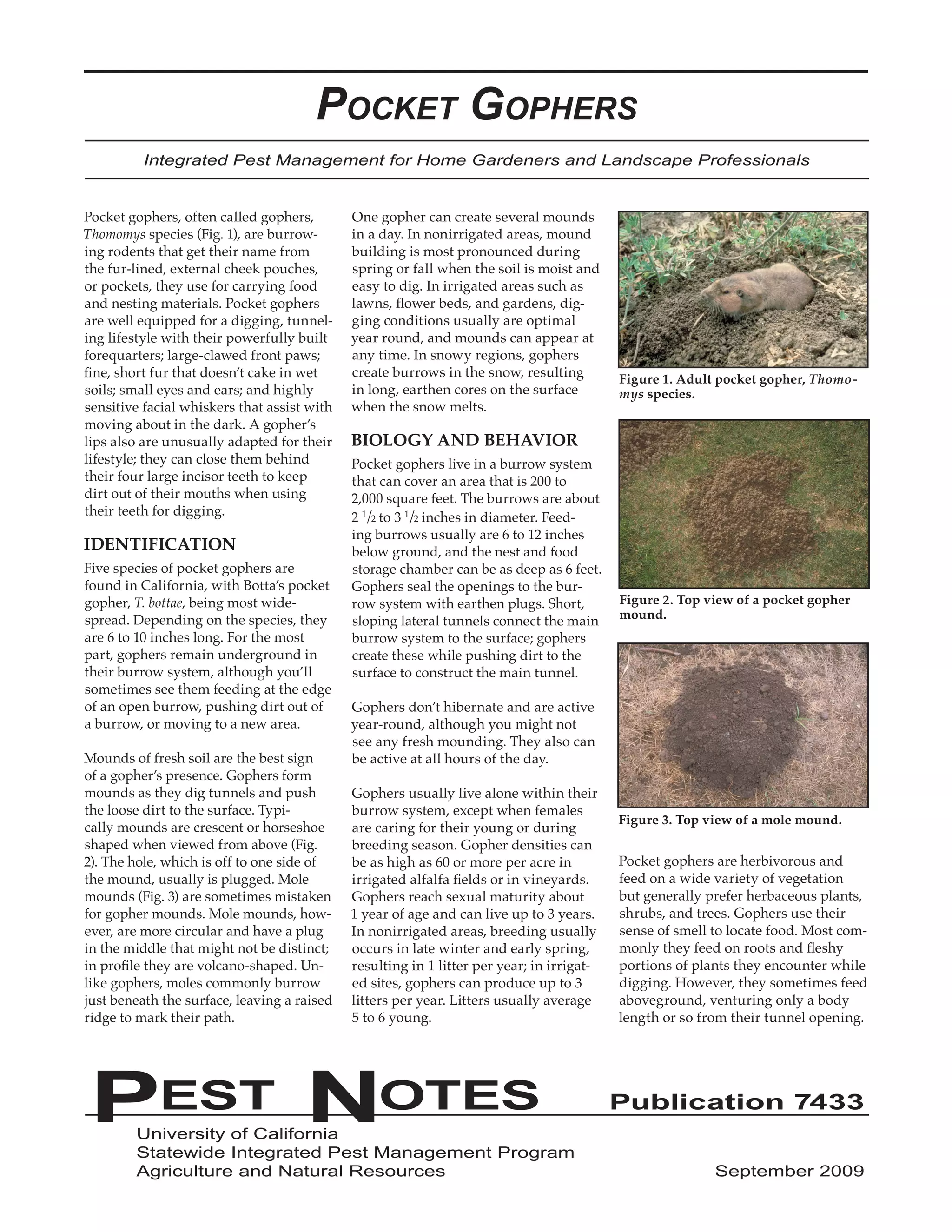 Pocket Gophers Integrated Pest Management | PDF