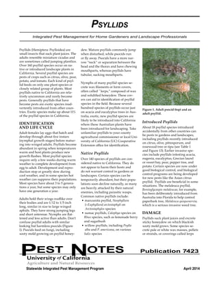 Psyllids Integrated Pest Management | PDF