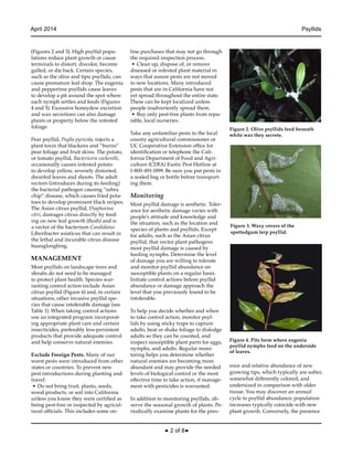 Psyllids Integrated Pest Management | PDF