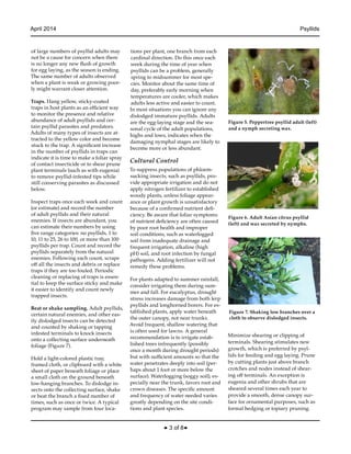 Psyllids Integrated Pest Management | PDF
