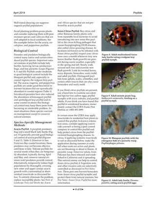 Psyllids Integrated Pest Management | PDF