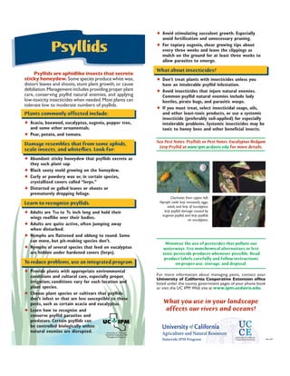 Psyllids Quick Tips Natural Pest Control | PDF | Beekeeping | Hobbies & Interests