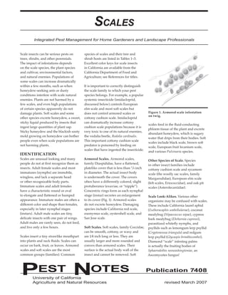 Scales Integrated Pest Management | PDF