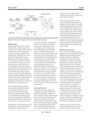 Scales Integrated Pest Management | PDF