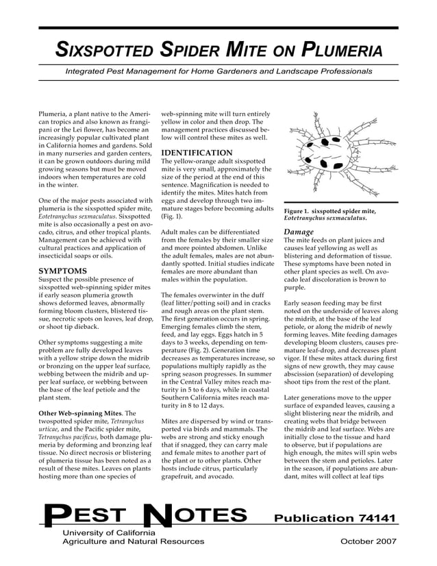 Sixspotted Spider Mite Integrated Pest Management | PDF