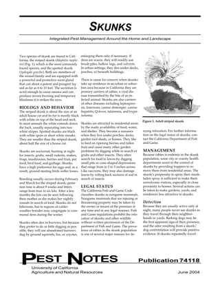 Skunks Integrated Pest Management | PDF | Infectious Diseases ...