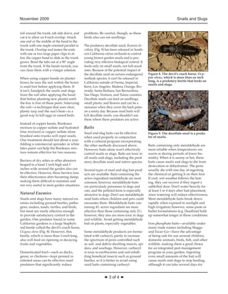 Snails and Slugs Integrated Pest Management | PDF | Gardening | Home ...