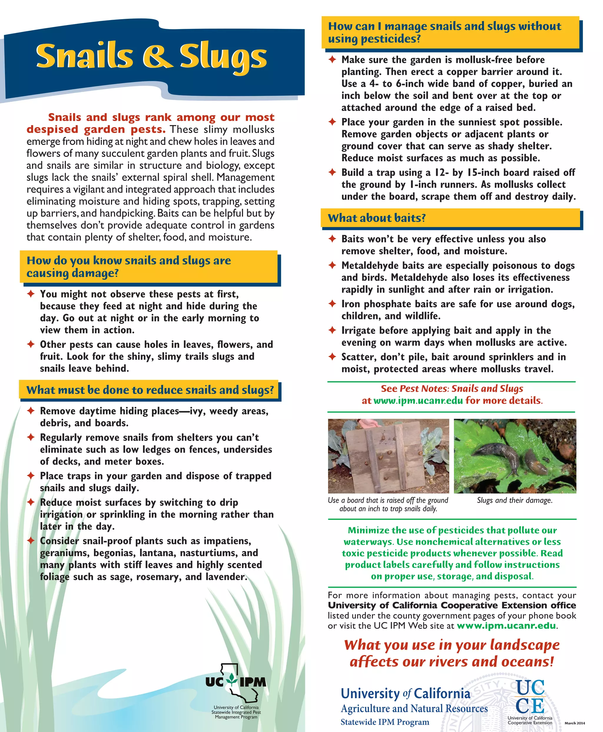 Snails and Slugs Quick Tips Natural Pest Control | PDF