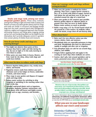 Snails and Slugs Quick Tips Natural Pest Control | PDF
