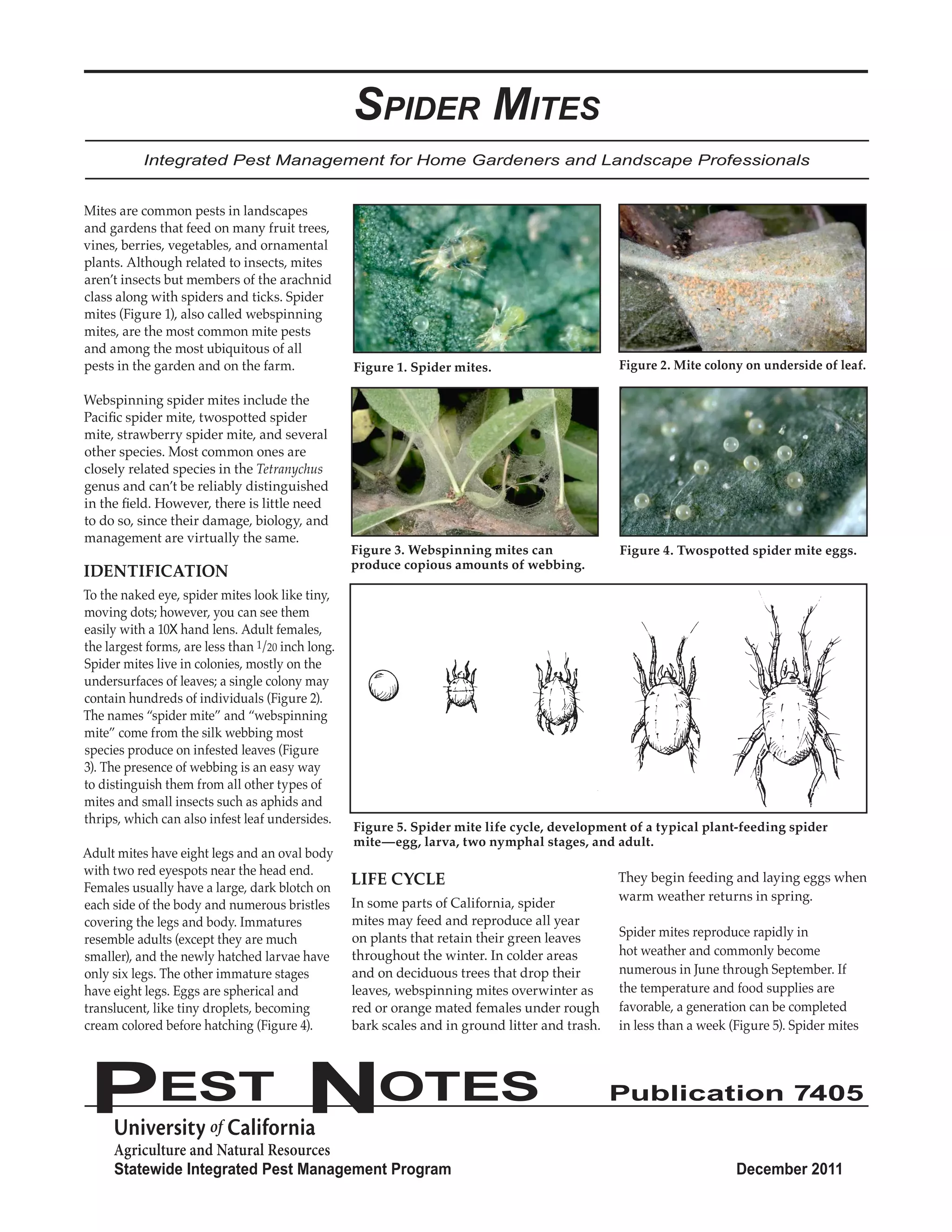 Spider Mites Integrated Pest Management | PDF