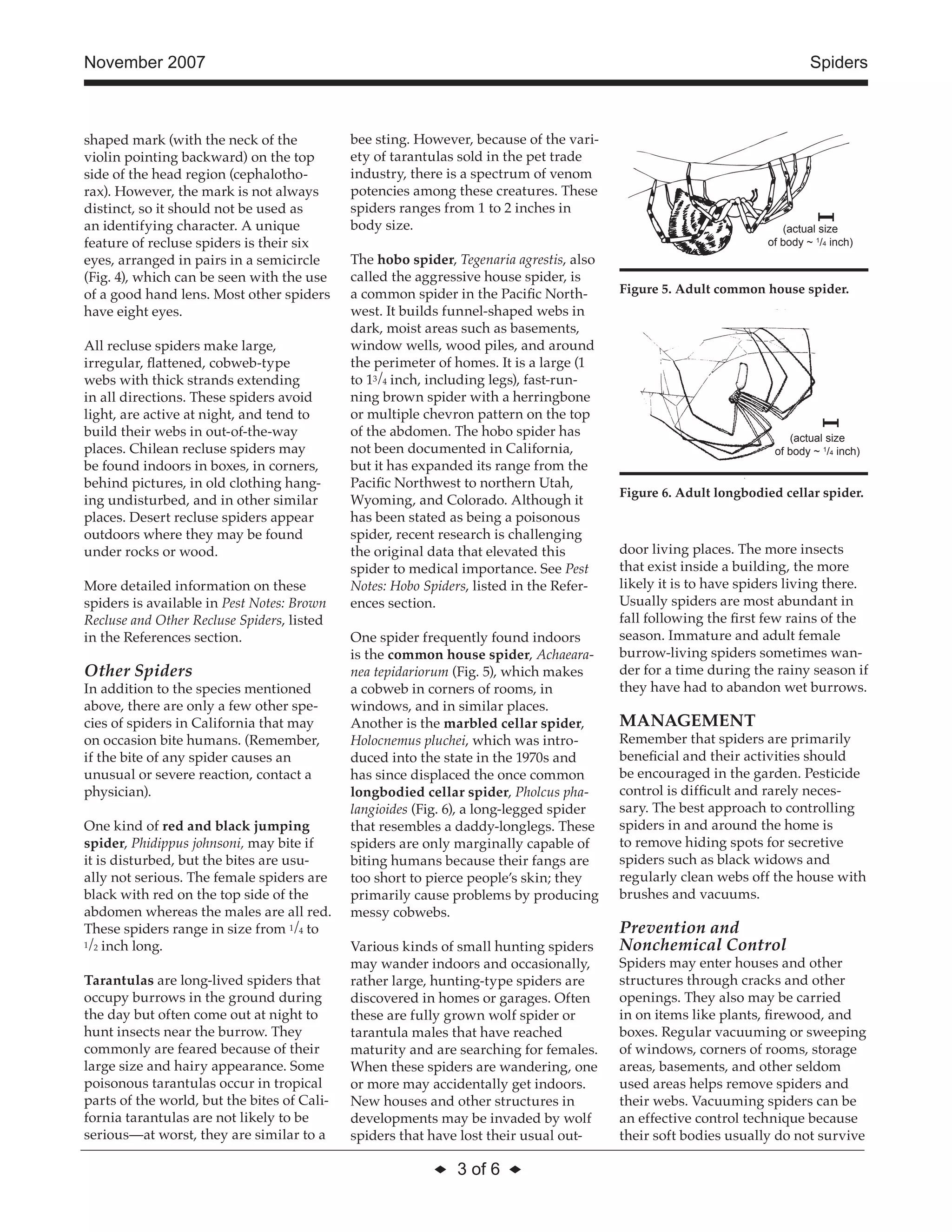 Spiders Integrated Pest Management | PDF