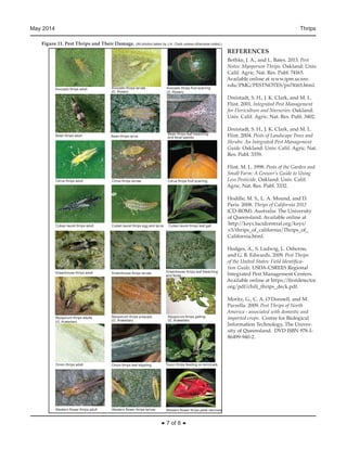 Thrips Integrated Pest Management | PDF