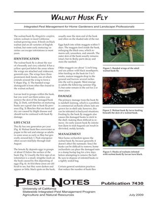 Walnut Husk Fly Integrated Pest Management | PDF | Gardening | Home ...
