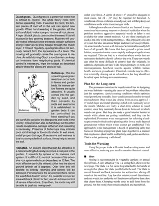 Weed Management for the Lawn and Garden | PDF