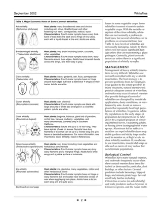Whiteflies Integrated Pest Management | PDF