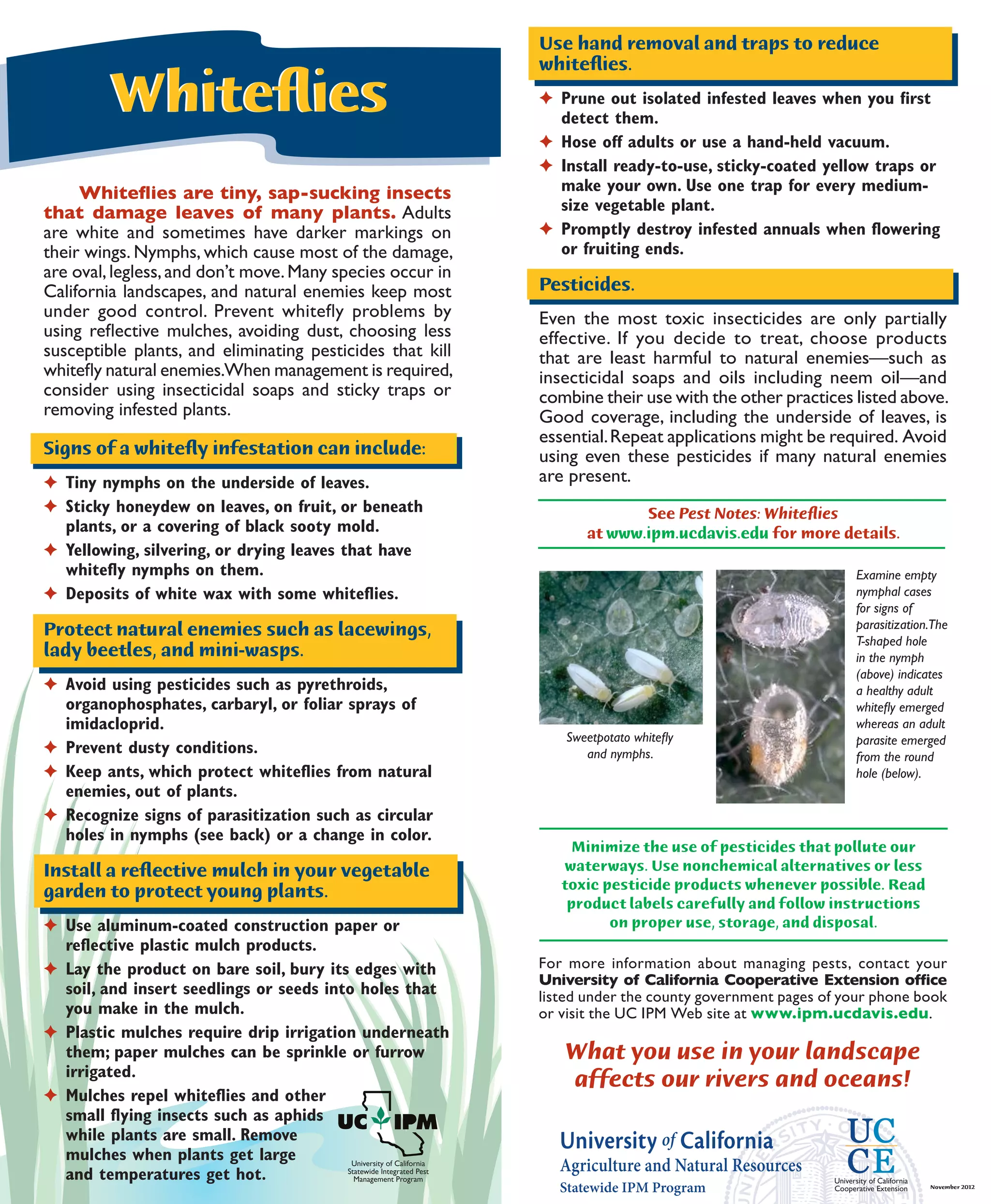 Whiteflies Quick Tips Natural Pest Control | PDF