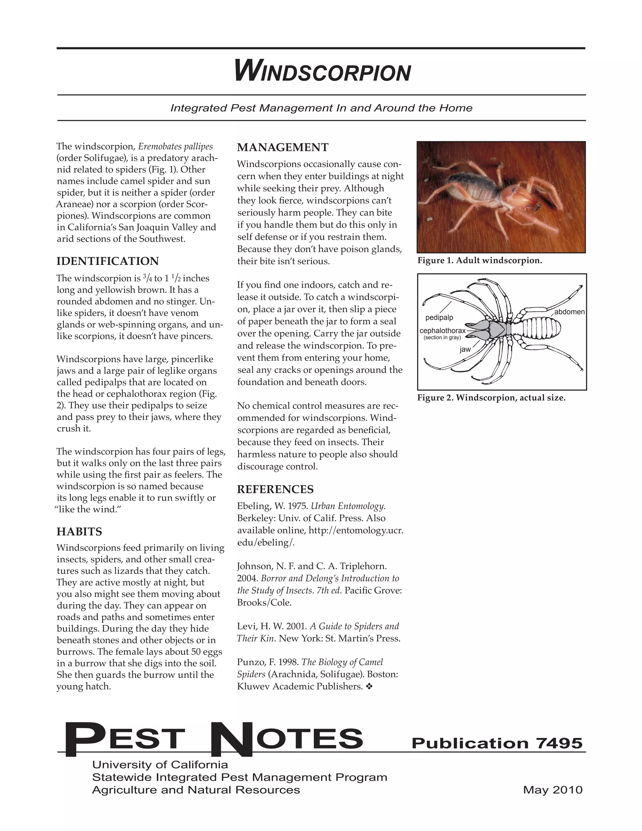 Windscorpion Integrated Pest Management | PDF