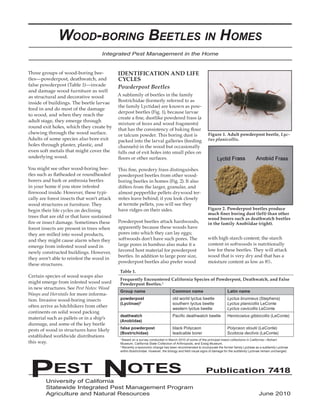 Wood-Boring Beetles in Homes Integrated Pest Management | PDF