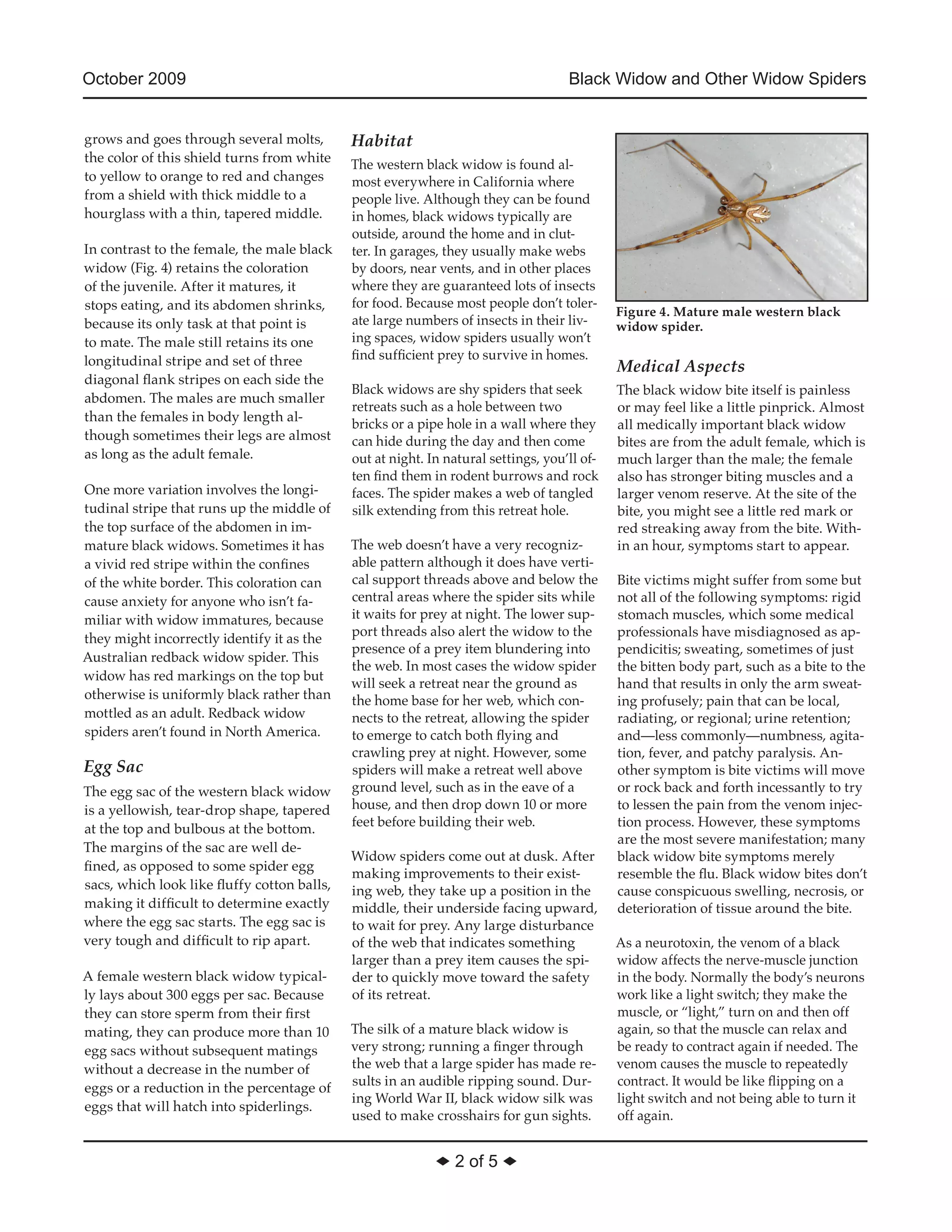 Black Widow and Other Widow Spiders Integrated Pest Management | PDF