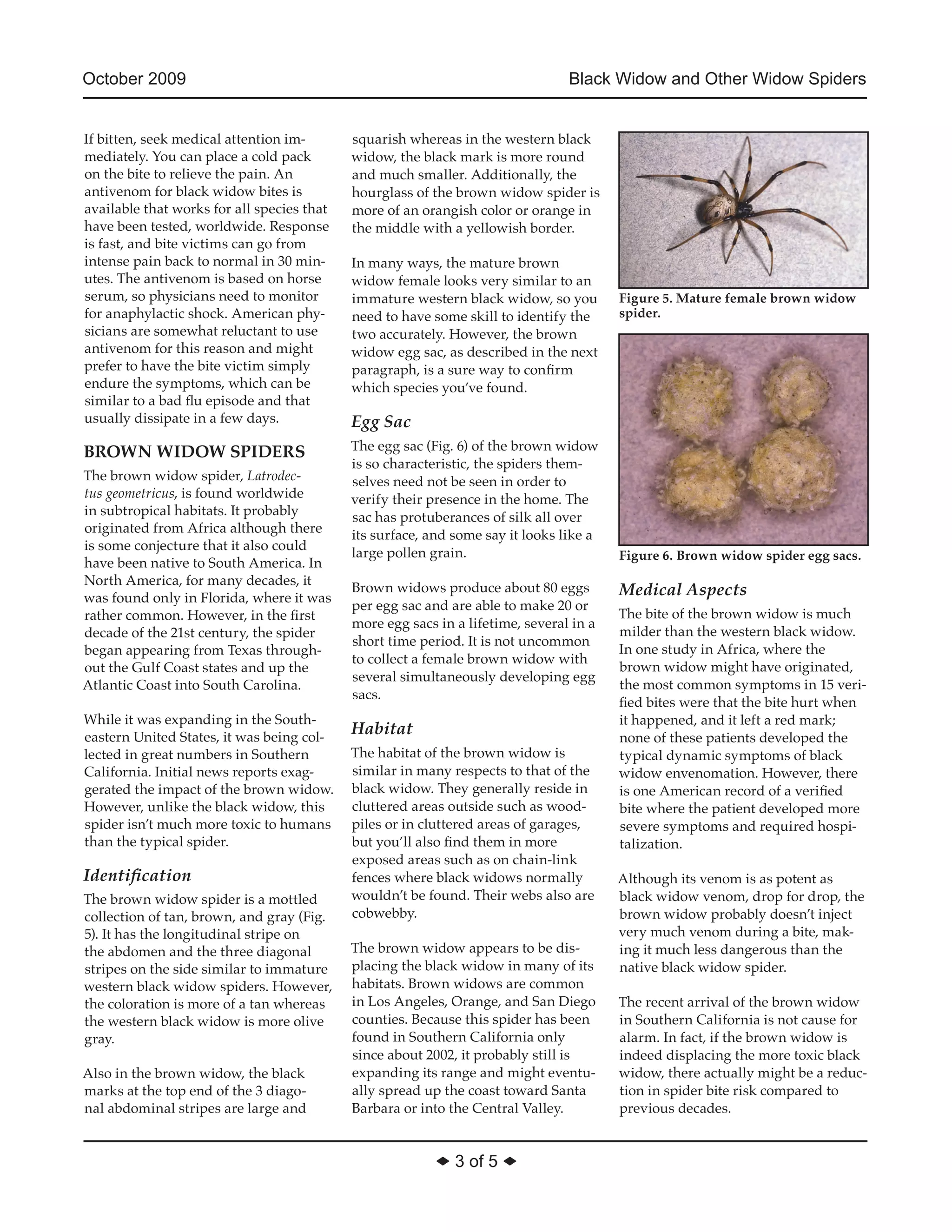 Black Widow and Other Widow Spiders Integrated Pest Management | PDF
