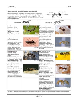Ants Integrated Pest Management | PDF