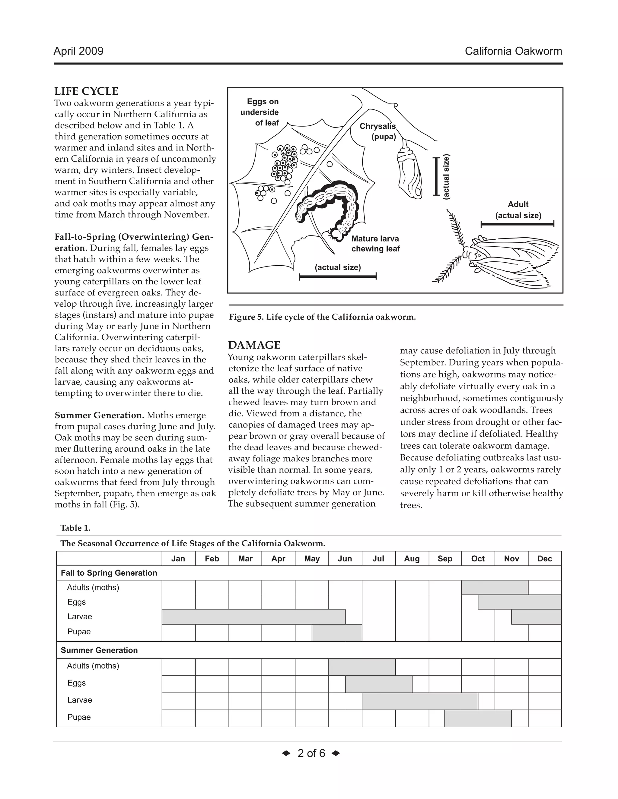 California Oakworm Integrated Pest Management | PDF