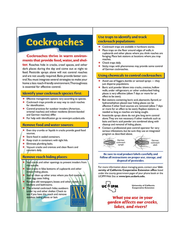Cockroaches Quick Tips Natural Pest Control | PDF
