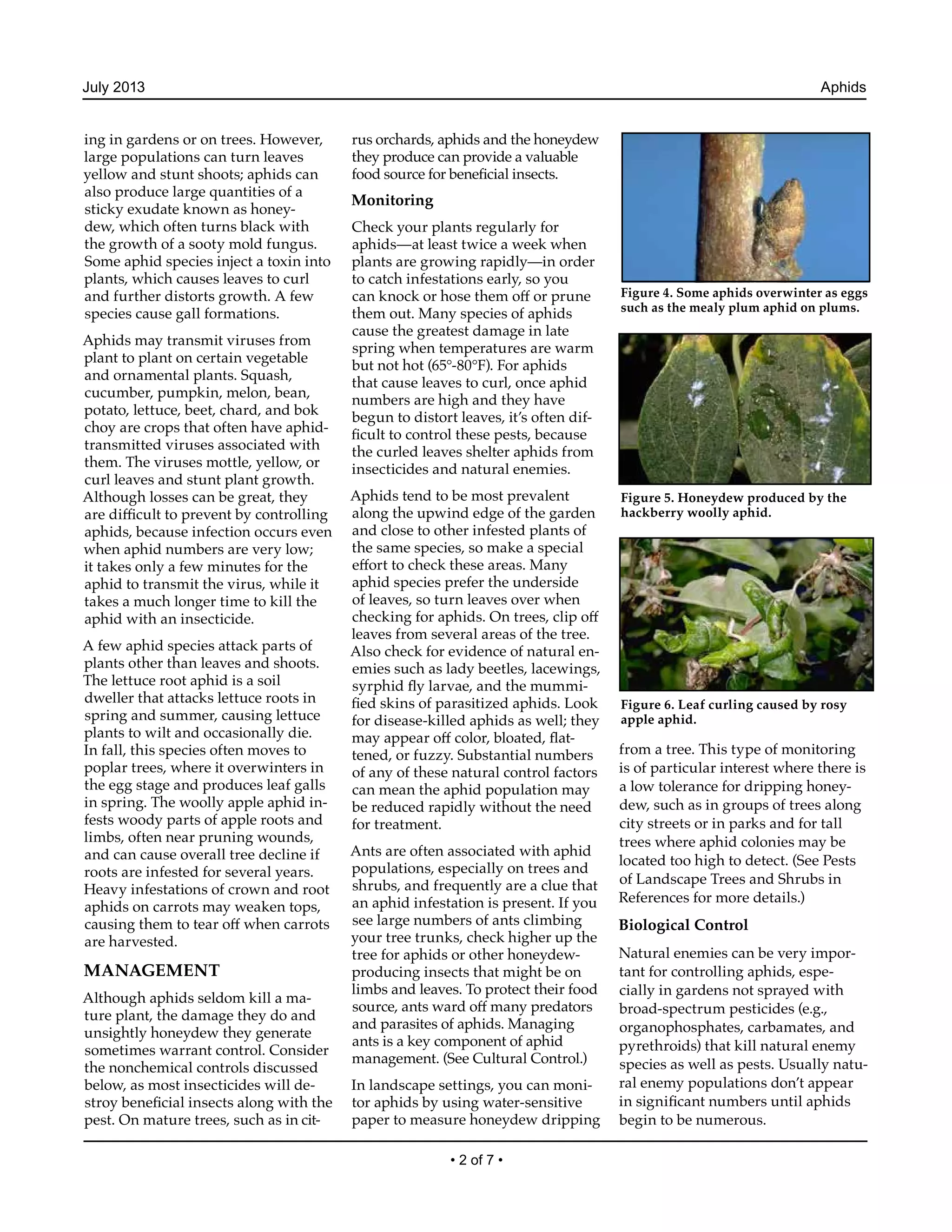 Aphids Integrated Pest Management | PDF