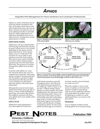 Aphids Integrated Pest Management | PDF