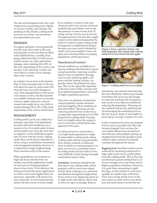 Codling Moth Integrated Pest Management | PDF