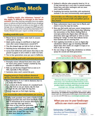 Codling Moth Quick Tips Natural Pest Control | PDF